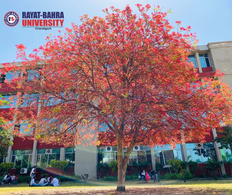 Mamta Rana posted on LinkedIn Mamta Rana posted on LinkedIn