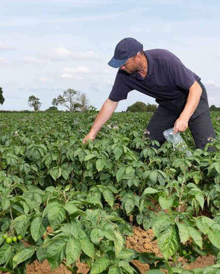 Luke Jewell on LinkedIn: Plant sampling to monitor and troubleshoot ... Luke Jewell on LinkedIn: Plant sampling to monitor and troubleshoot ...