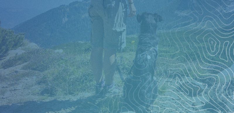 Trek10, Inc. on LinkedIn: AWS Gurus, Battle Tested Processes, On Your Team Trek10, Inc. on LinkedIn: AWS Gurus, Battle Tested Processes, On Your Team
