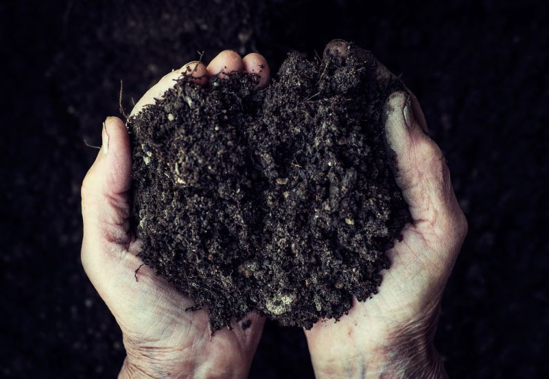Field to Market: The Alliance for Sustainable Agriculture on LinkedIn ... Field to Market: The Alliance for Sustainable Agriculture on LinkedIn ...