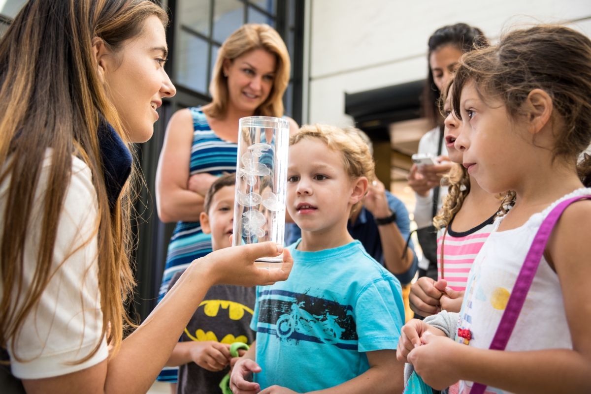 Monterey Bay Aquarium on LinkedIn: #humpday #hiring #jobs #recruitment ... Monterey Bay Aquarium on LinkedIn: #humpday #hiring #jobs #recruitment ...