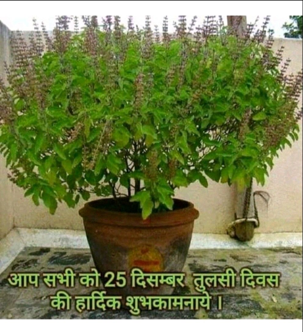 I. KISHORE K. posted on LinkedIn I. KISHORE K. posted on LinkedIn