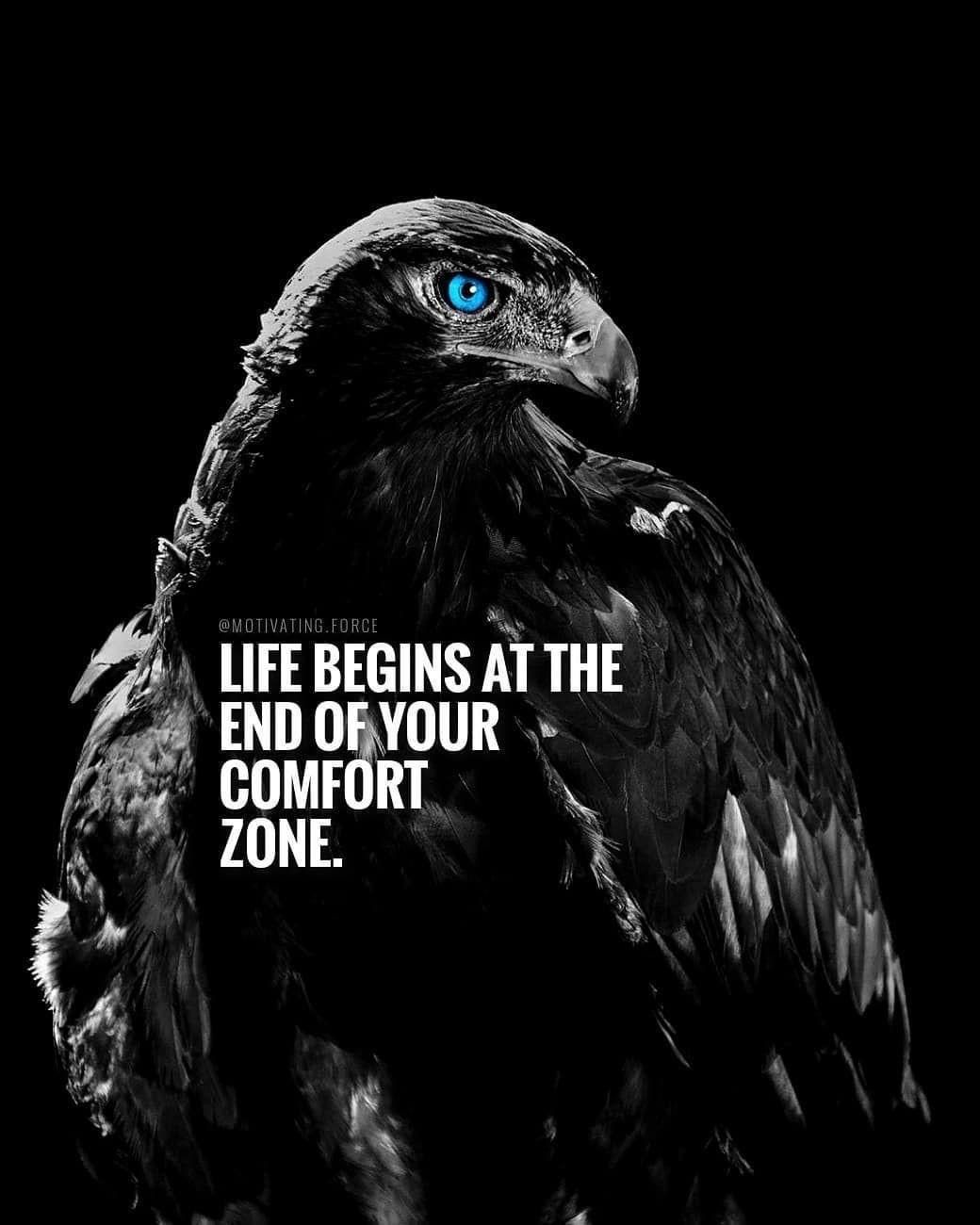 Sajith De Silva posted on LinkedIn Sajith De Silva posted on LinkedIn