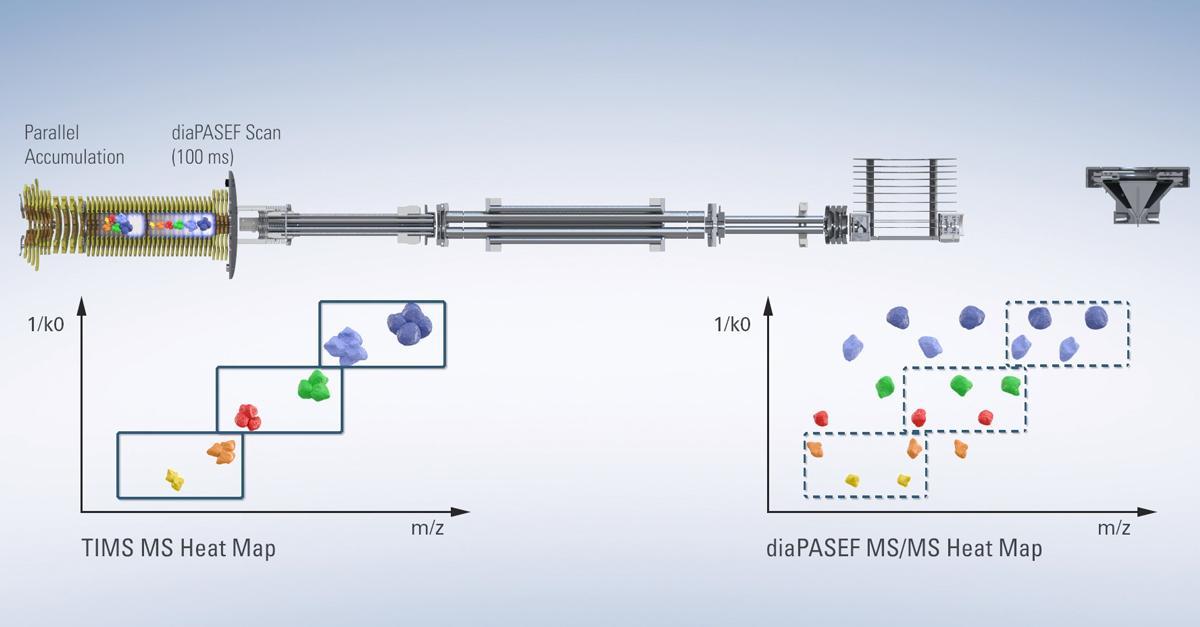 Bruker Daltonics on LinkedIn: #diapasef Bruker Daltonics on LinkedIn: #diapasef