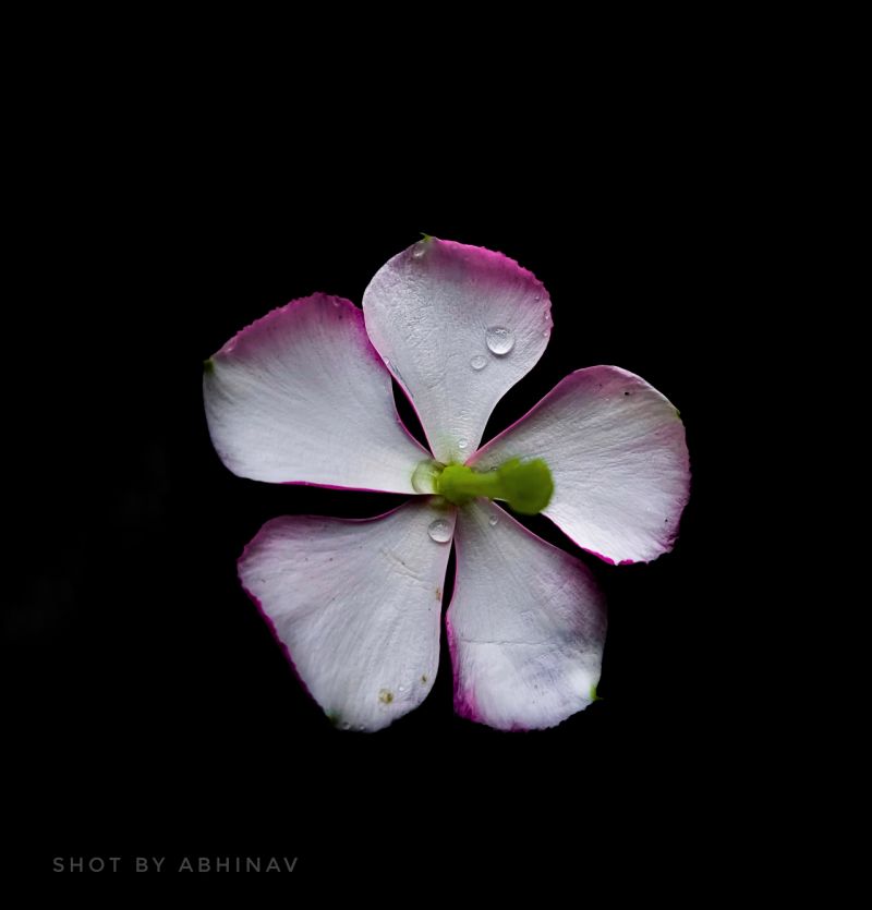 Abhinav Tiwari on LinkedIn: how's this Abhinav Tiwari on LinkedIn: how's this