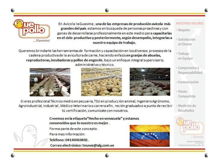 ING ALEJANDRO VELAZCO posted on LinkedIn ING ALEJANDRO VELAZCO posted on LinkedIn