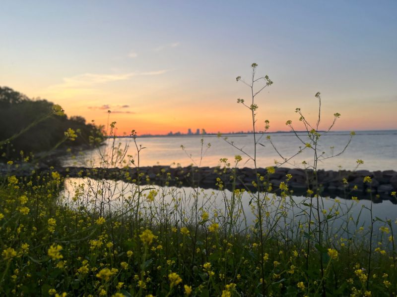 Milwaukee Riverkeeper on LinkedIn: #swimmable #fishable #waterways # ... Milwaukee Riverkeeper on LinkedIn: #swimmable #fishable #waterways # ...