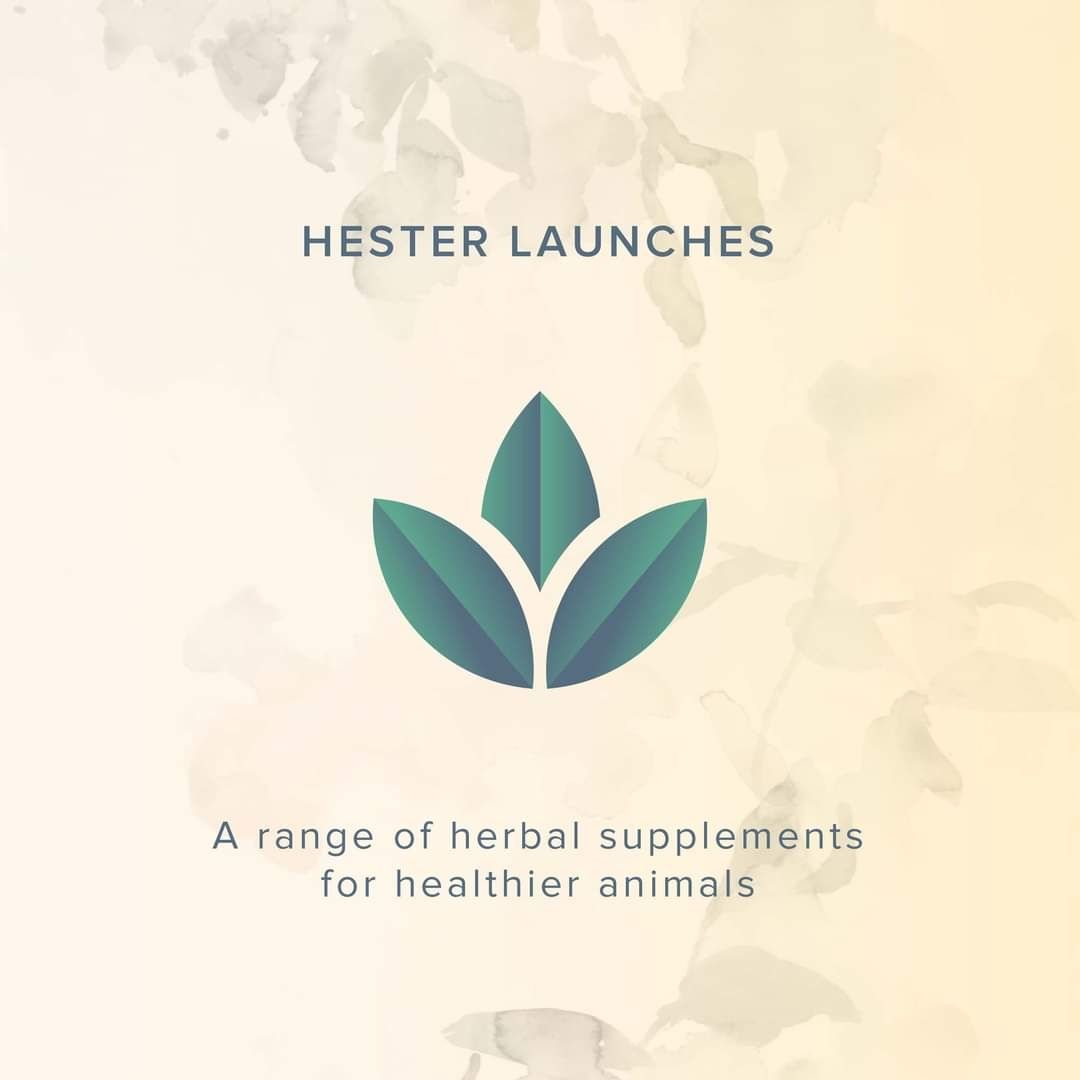 Dr. Yash Parmar on LinkedIn: #hesterbiosciences #herbal #poultry # ... Dr. Yash Parmar on LinkedIn: #hesterbiosciences #herbal #poultry # ...