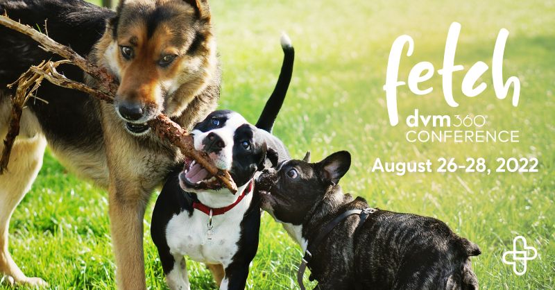 PetMedic Urgent Care Vet Clinics on LinkedIn: #dvm360fetch # ... PetMedic Urgent Care Vet Clinics on LinkedIn: #dvm360fetch # ...