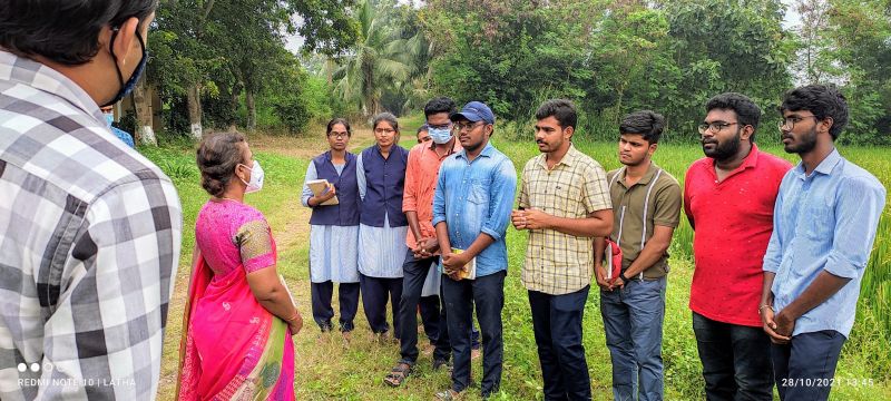 Sravanth Kumar Kalyampudi on LinkedIn: #seedproduction Sravanth Kumar Kalyampudi on LinkedIn: #seedproduction