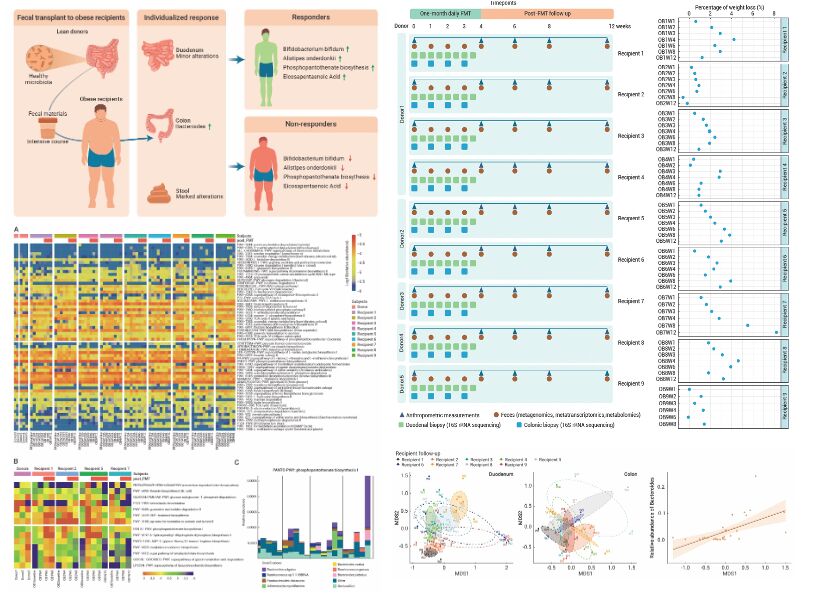 The Innovation:A Cell Press partner journal on LinkedIn: Multi-omic ... The Innovation:A Cell Press partner journal on LinkedIn: Multi-omic ...
