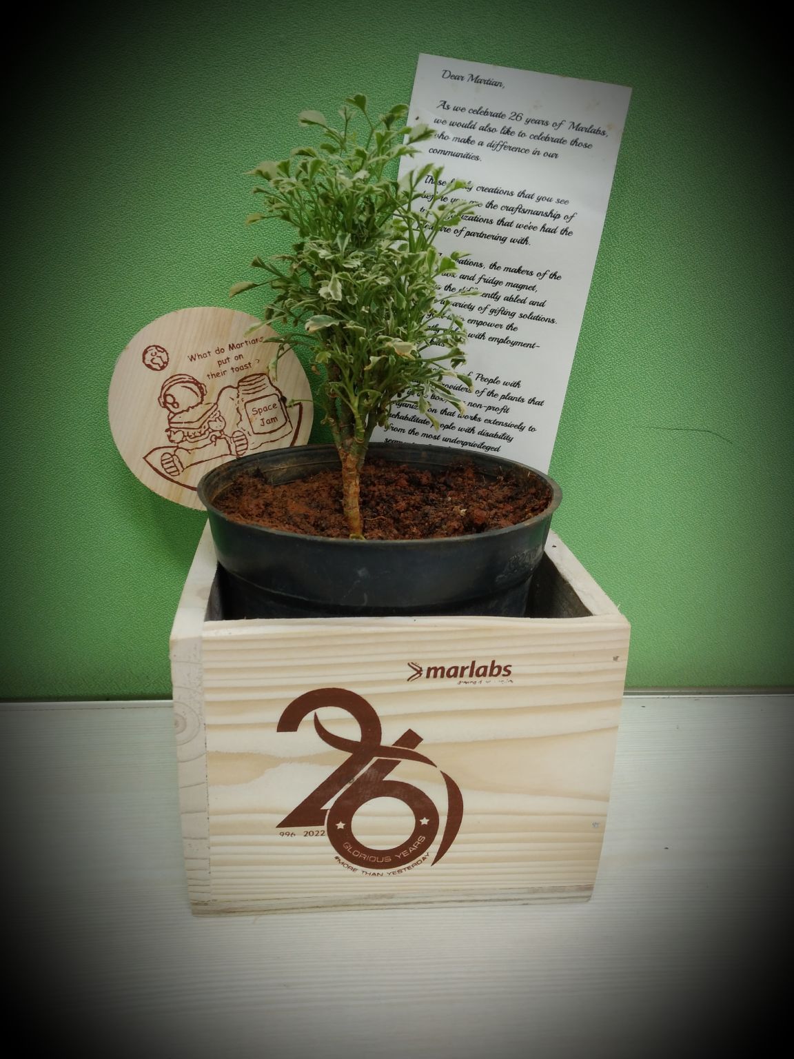 JISHA I V on LinkedIn: #marlabs #marlabs #marlabs26 #martians # ... JISHA I V on LinkedIn: #marlabs #marlabs #marlabs26 #martians # ...