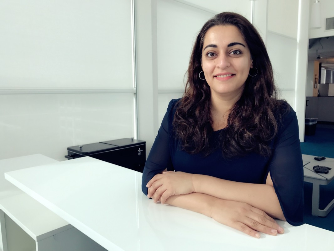 American Pakistan Foundation on LinkedIn: Traversing Farah Ali's ... American Pakistan Foundation on LinkedIn: Traversing Farah Ali's ...