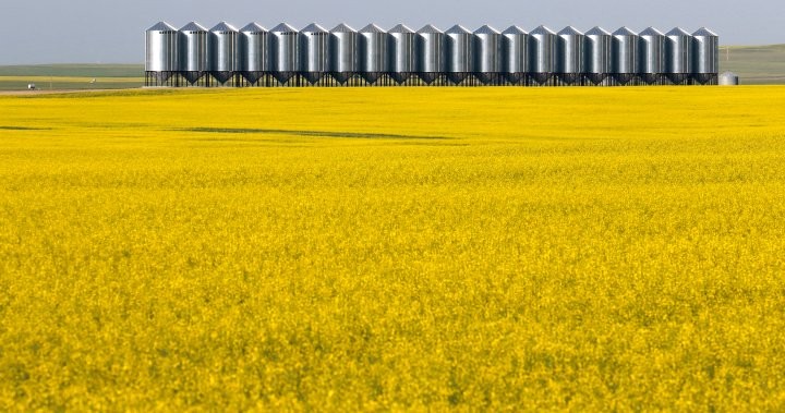 Lori Gordon, CFP, CIM, FCSI on LinkedIn: Federal and provincial ... Lori Gordon, CFP, CIM, FCSI on LinkedIn: Federal and provincial ...