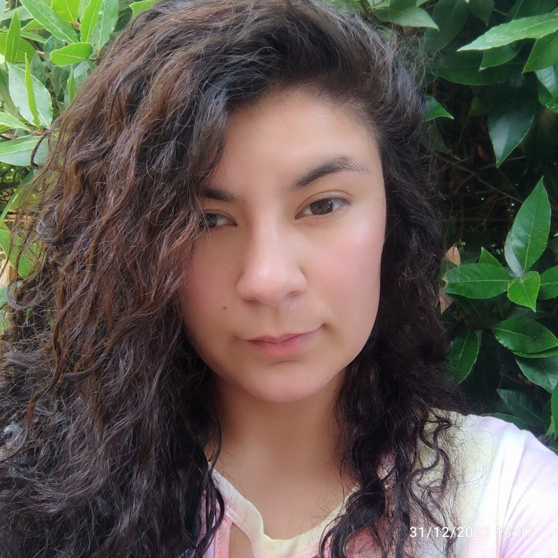 Noemi Alejandra Valdivia Verdugo - Chile | Perfil profesional | LinkedIn Noemi Alejandra Valdivia Verdugo - Chile | Perfil profesional | LinkedIn