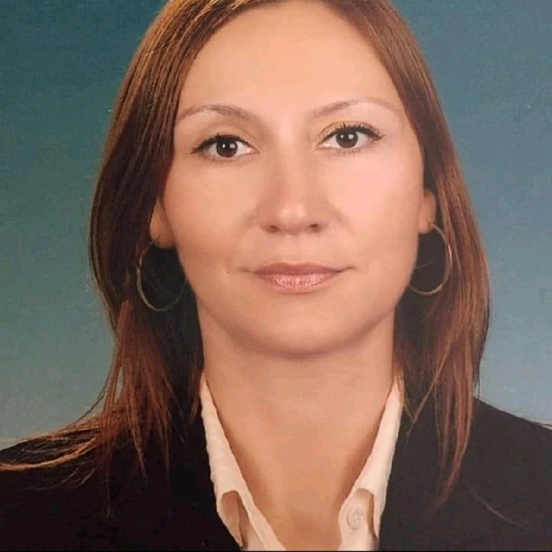 ozlem gulgun guner - İstanbul, İstanbul, Türkiye | Profesyonel Profil ... ozlem gulgun guner - İstanbul, İstanbul, Türkiye | Profesyonel Profil ...