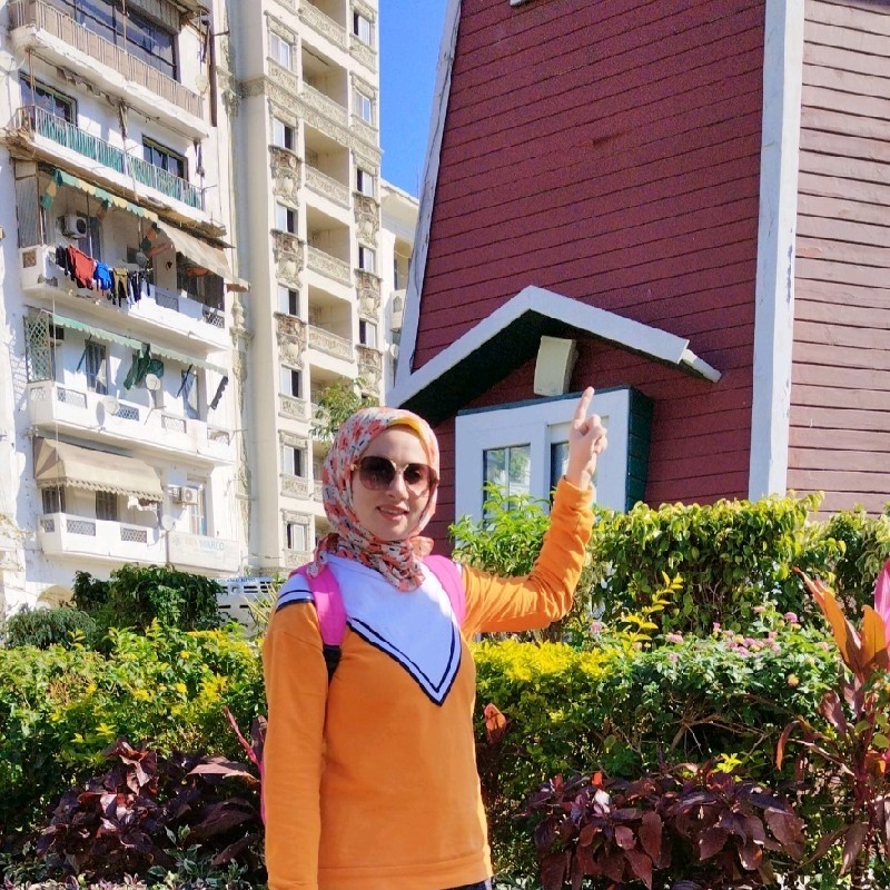Norhan Amr - Freelancer - TikTok | LinkedIn Norhan Amr - Freelancer - TikTok | LinkedIn