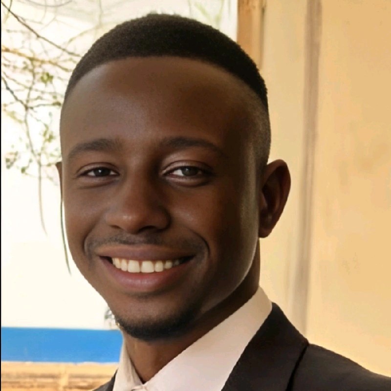 Ibrahim Denis Fofanah - Freelance Data Analyst - Freelance | LinkedIn Ibrahim Denis Fofanah - Freelance Data Analyst - Freelance | LinkedIn