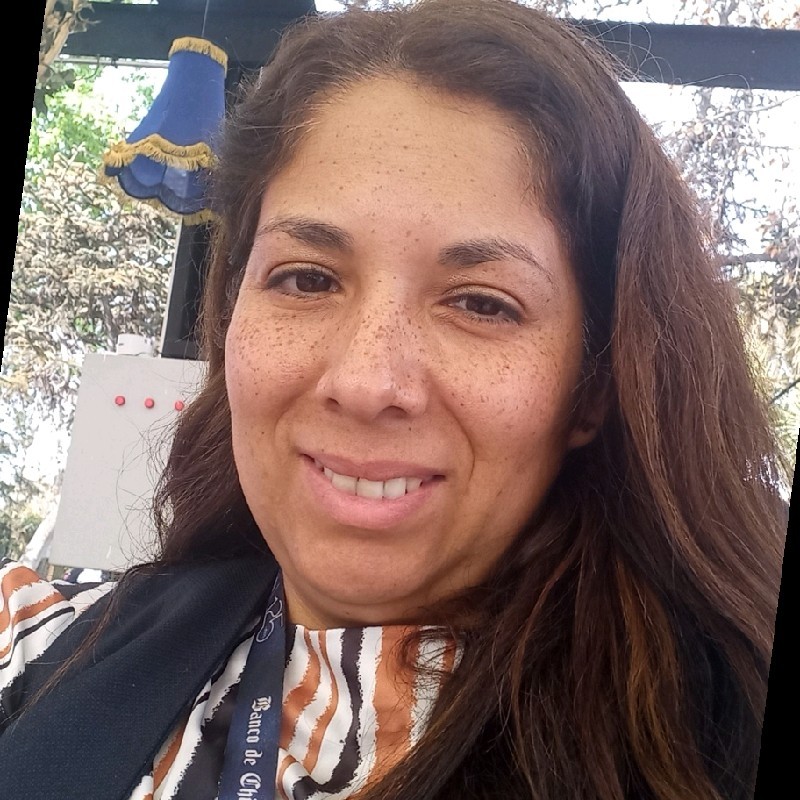Cecilia Vidal Lara - Analista de operaciones - Banco de chile | LinkedIn Cecilia Vidal Lara - Analista de operaciones - Banco de chile | LinkedIn