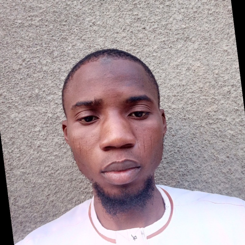 Hassan mohammed Ibrahim - Student - Freelance | LinkedIn Hassan mohammed Ibrahim - Student - Freelance | LinkedIn