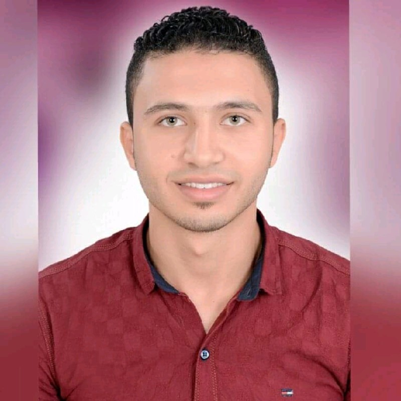 Ahmed Hashem - Accountant - Egypt Emirates | LinkedIn Ahmed Hashem - Accountant - Egypt Emirates | LinkedIn