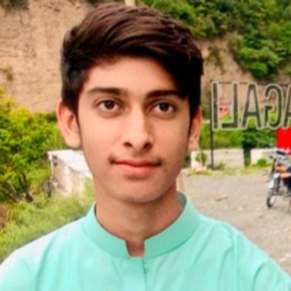 Hasnain Ali - Islamabad, Islāmābād, Pakistan | Professional Profile ... Hasnain Ali - Islamabad, Islāmābād, Pakistan | Professional Profile ...