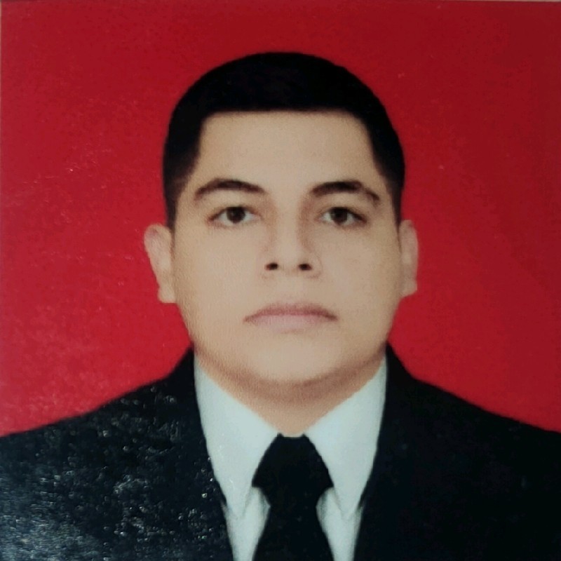 Fernando Damian Banegas Osinaga - Auxiliar de director de proyectos - E ... Fernando Damian Banegas Osinaga - Auxiliar de director de proyectos - E ...