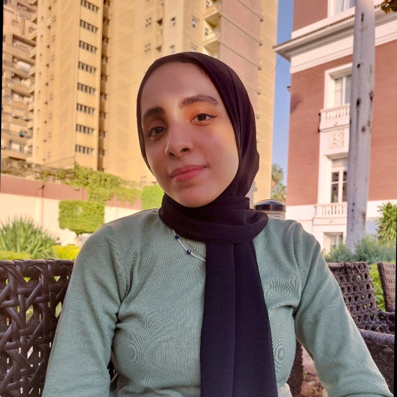 Sara El Badry - Frontend Intern - ILLA | LinkedIn Sara El Badry - Frontend Intern - ILLA | LinkedIn