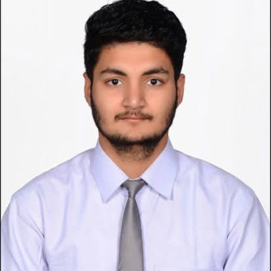 Ayush Kumar - Student Internship - InternsElite | LinkedIn Ayush Kumar - Student Internship - InternsElite | LinkedIn
