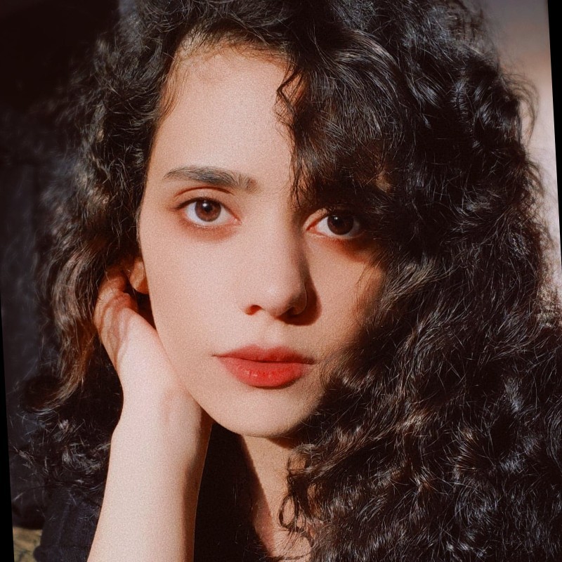 Hiba Abdul-Kareem | Professional Profile | LinkedIn Hiba Abdul-Kareem | Professional Profile | LinkedIn