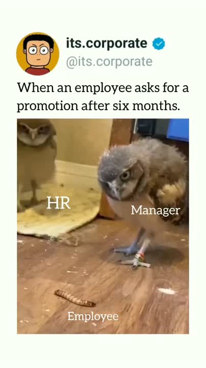 Daniel Njihia on LinkedIn: But why 🤔.. Daniel Njihia on LinkedIn: But why 🤔..