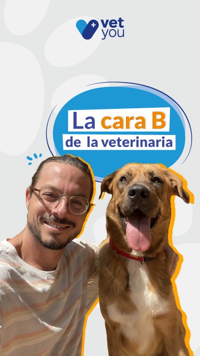 Jordi Gutierrez Pujades posted on LinkedIn Jordi Gutierrez Pujades posted on LinkedIn