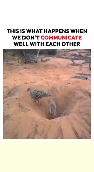 Muhammad Awais Tariq Butt on LinkedIn: On point 😂 Ahsan Khan Muhammad Awais Tariq Butt on LinkedIn: On point 😂 Ahsan Khan