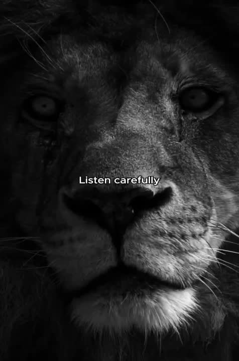 Abhishek Shukla on LinkedIn: Exactly..... Abhishek Shukla on LinkedIn: Exactly.....