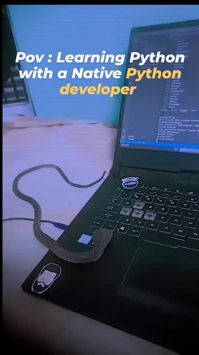 carry ry on LinkedIn: #coding #python #codeisfun #pythondevelopers # ... carry ry on LinkedIn: #coding #python #codeisfun #pythondevelopers # ...
