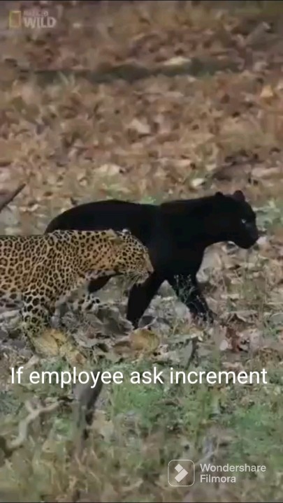 Muhammad Shahzaib Afridi posted on LinkedIn Muhammad Shahzaib Afridi posted on LinkedIn