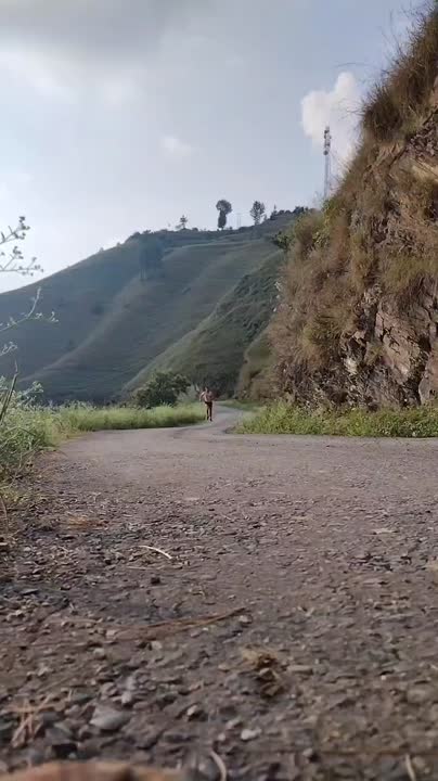 VISHAL THAKUR on LinkedIn: मुझे भी कामयाब होना है | Vishal Thakur Acro ... VISHAL THAKUR on LinkedIn: मुझे भी कामयाब होना है | Vishal Thakur Acro ...
