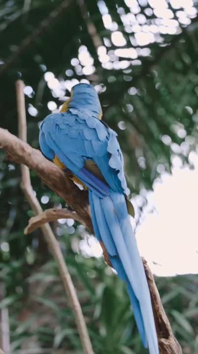 GULSHAN Kumar on LinkedIn: Just made this edit with some sound effects ... GULSHAN Kumar on LinkedIn: Just made this edit with some sound effects ...