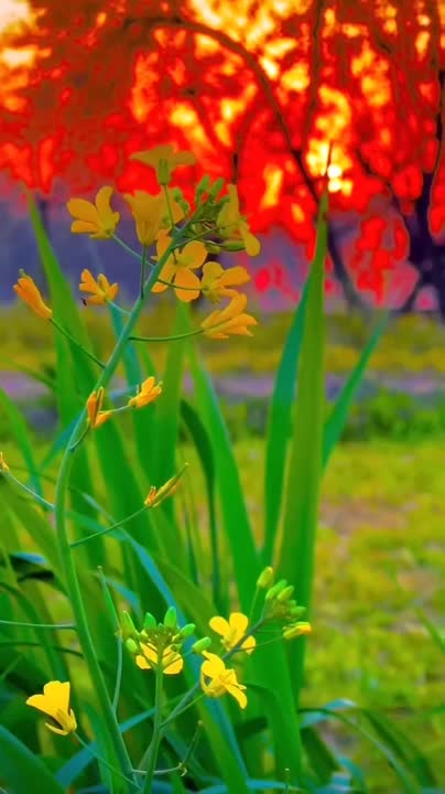 Varsha Singh on LinkedIn: Good morning all Friends 🌺💕 Varsha Singh on LinkedIn: Good morning all Friends 🌺💕