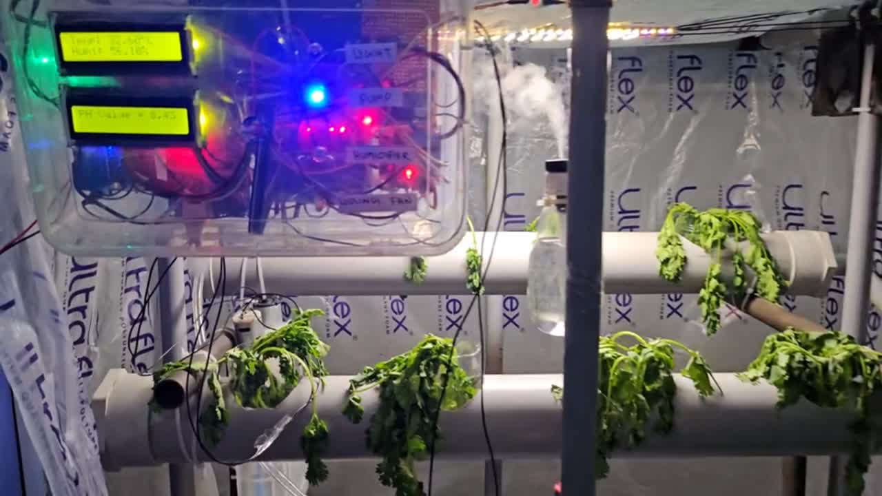 Rohit Singh on LinkedIn: #hydroponics #iot #finalyearproject Rohit Singh on LinkedIn: #hydroponics #iot #finalyearproject