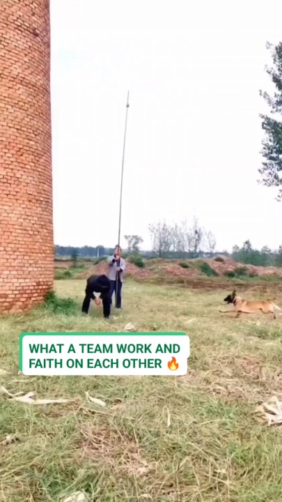 Manish kumar Meena on LinkedIn: #teamwork #teambuilding # ... Manish kumar Meena on LinkedIn: #teamwork #teambuilding # ...