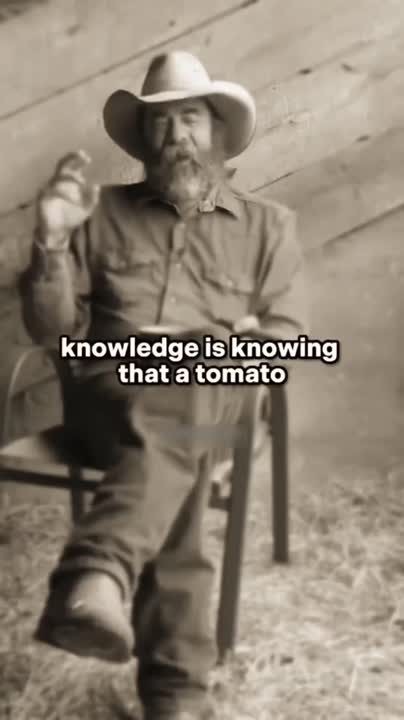 Pranjal Kumar on LinkedIn: #wisdom Pranjal Kumar on LinkedIn: #wisdom