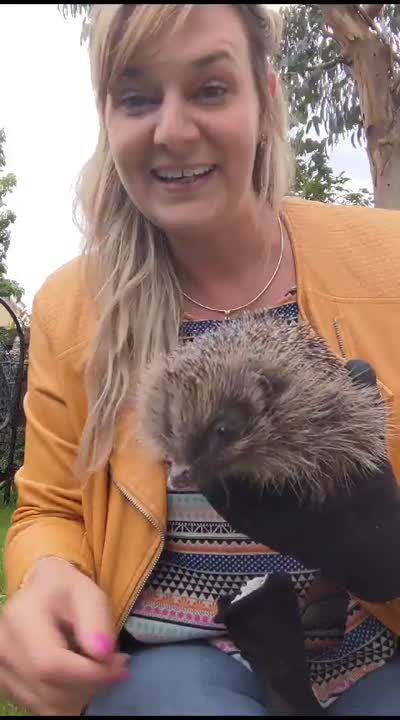 Angela Rawstorne AIEMA on LinkedIn: 🦔 See below Tamma Carel (PIEMA ... Angela Rawstorne AIEMA on LinkedIn: 🦔 See below Tamma Carel (PIEMA ...