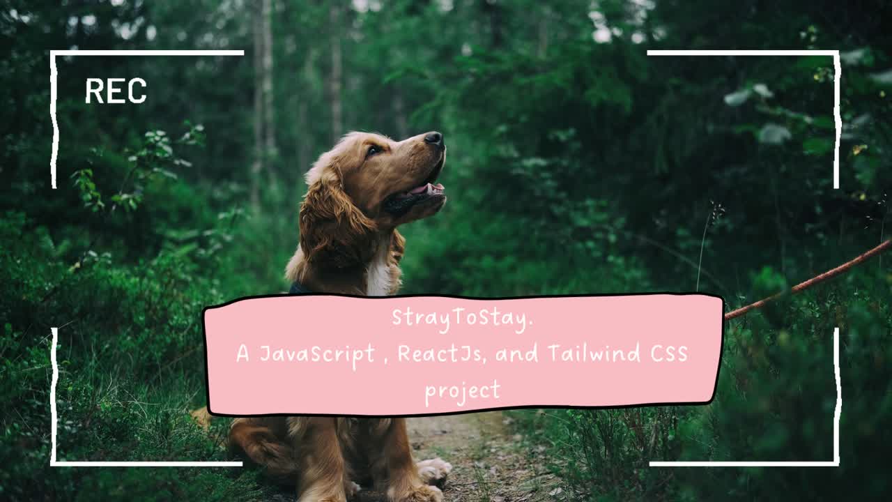 Abhishek Shukla on LinkedIn: #straytostay #techforgood #animalrescue # ... Abhishek Shukla on LinkedIn: #straytostay #techforgood #animalrescue # ...
