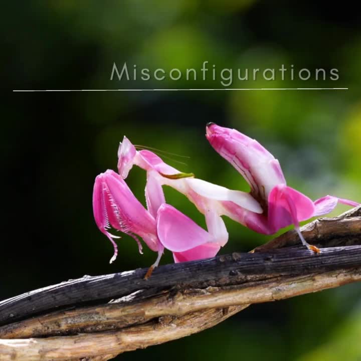 Matt Schleiffarth on LinkedIn: Avoid Cloud Misconfigurations Matt Schleiffarth on LinkedIn: Avoid Cloud Misconfigurations
