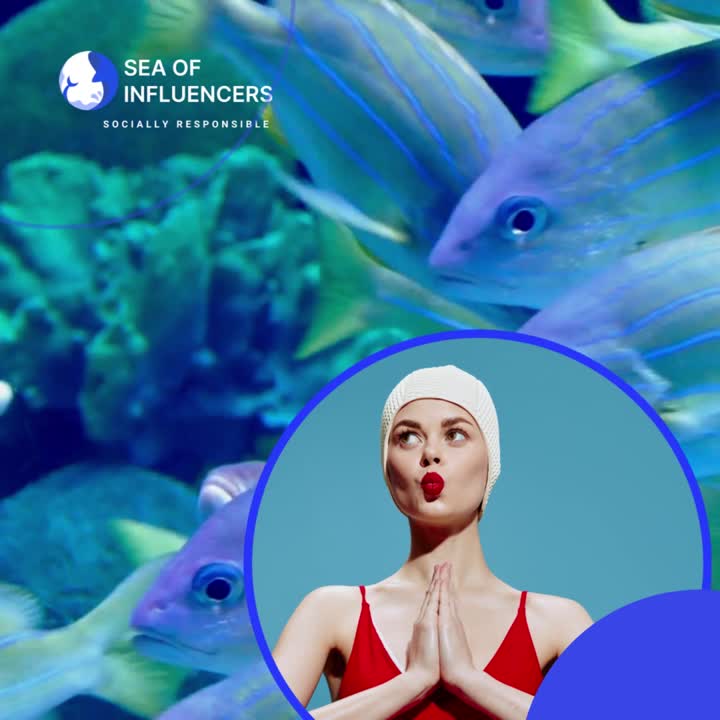 Sea of Influencers on LinkedIn: Influencer Budget. Sea of Influencers on LinkedIn: Influencer Budget.