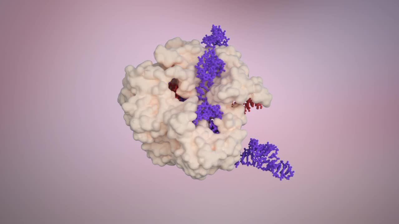 CRISPR BIOTECH ENGINEERING on LinkedIn: CRISPR, standing for Clustered ... CRISPR BIOTECH ENGINEERING on LinkedIn: CRISPR, standing for Clustered ...