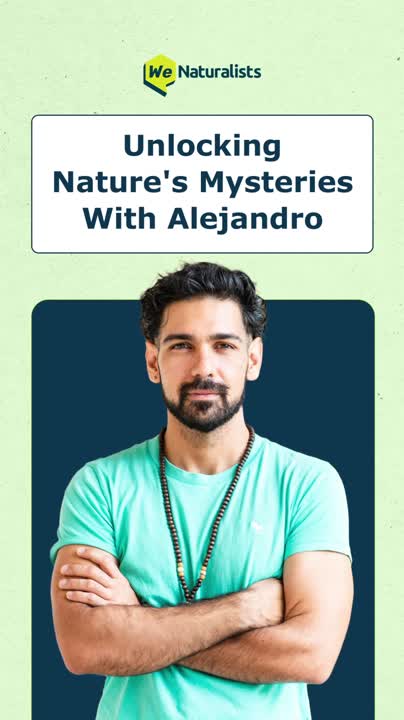 Michele Burford on LinkedIn: Great video and important work, Alejandro Michele Burford on LinkedIn: Great video and important work, Alejandro