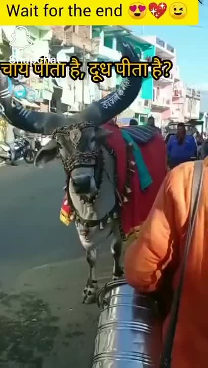 Subham Kumar Mund on LinkedIn: Bholenath ke Nandi.... Subham Kumar Mund on LinkedIn: Bholenath ke Nandi....