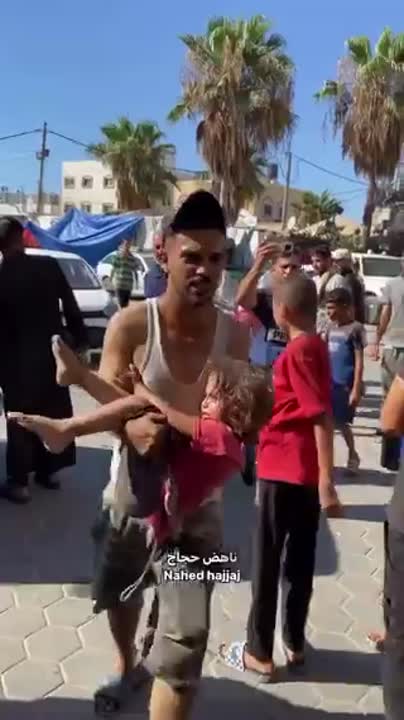 Zinhom Mahmoud on LinkedIn: Stop Palestinians Genocide Zinhom Mahmoud on LinkedIn: Stop Palestinians Genocide